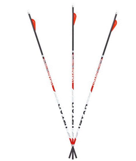 Carbon Express Maxima Triad Review - TheGunZone